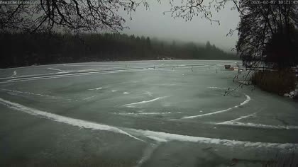 Höflein - Lago Rauschelesee, Austria - Cámaras web, webcam