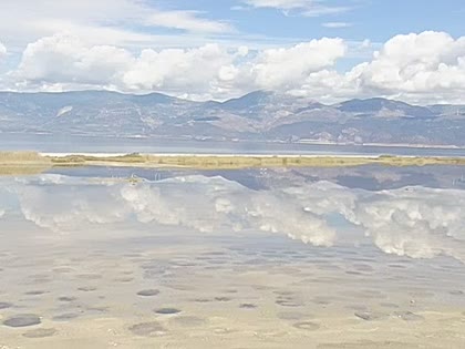 Egialea - Humedales de Alyki Aigion, Grecia - Cámaras web, webcam