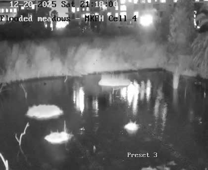 Keiptaunas - Intaka Island - Century City, Pietų Afrikos Respublika ...