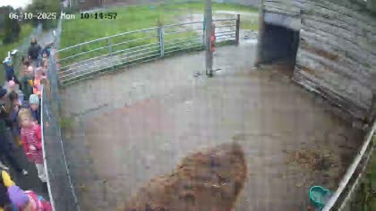 Werdum - Haustierpark, Germany - Webcams