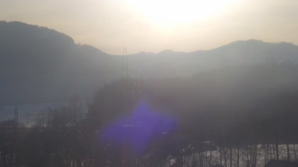 Uznach - Storks, Switzerland - Webcams